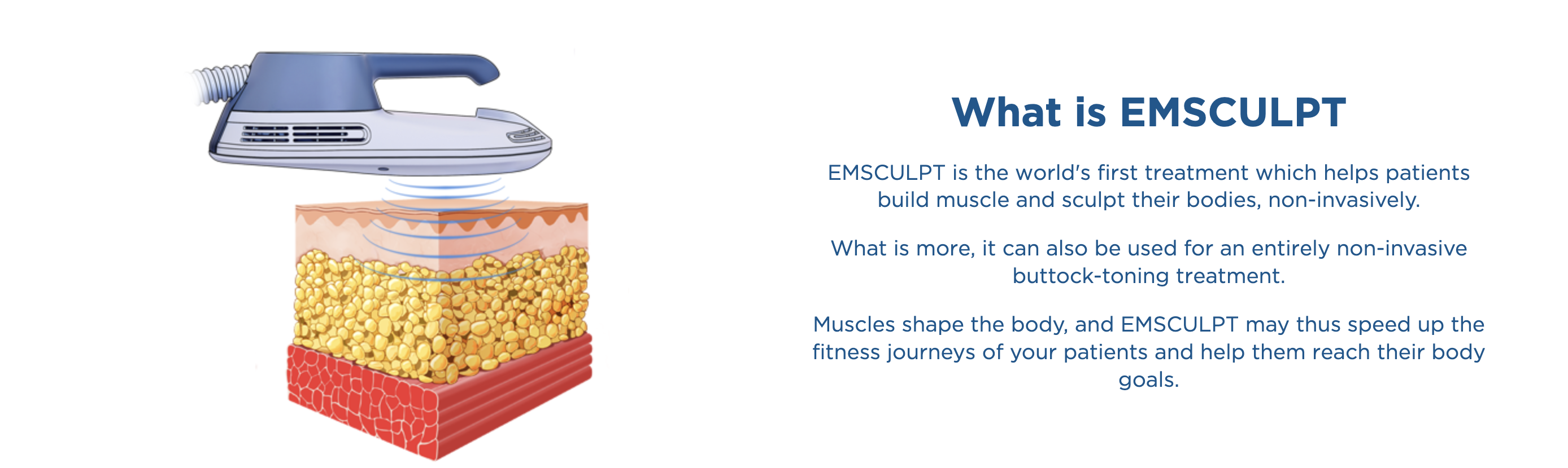 BTL Emsculpt